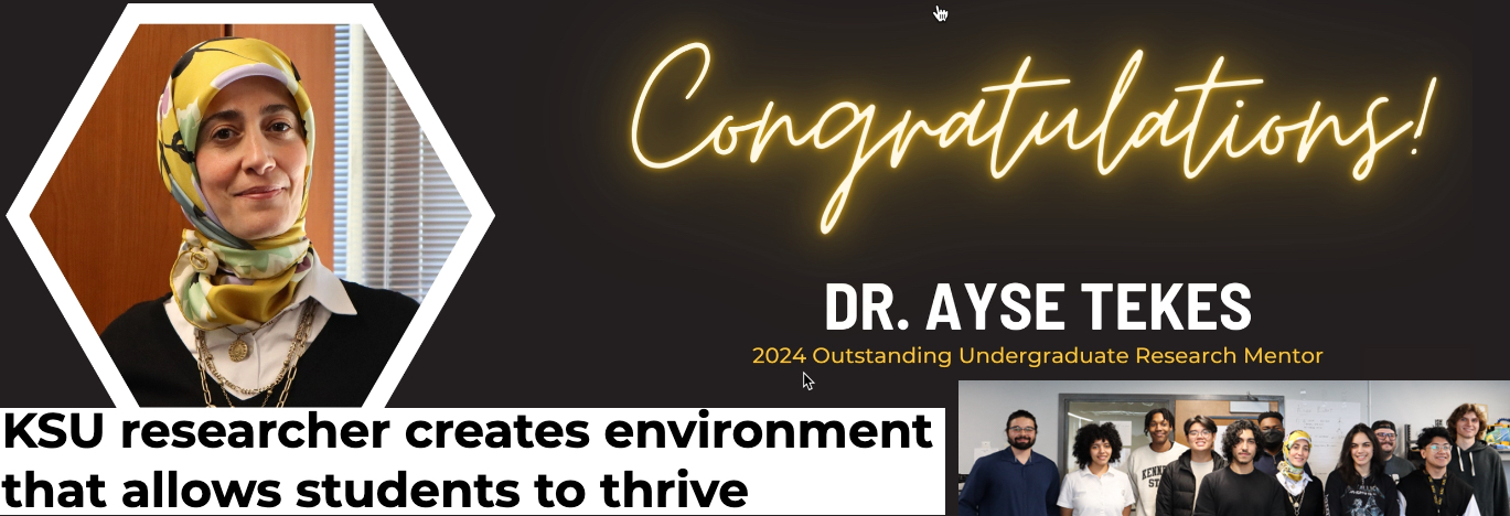 KSU | Faculty Web - Ayse Tekes